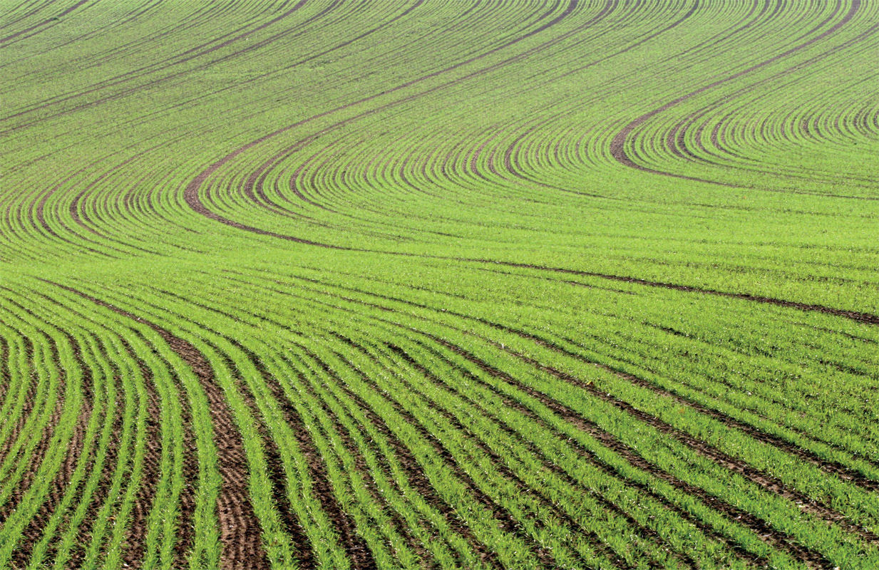 Les marchés soutenus poussent la production - Cavac