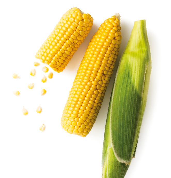 1999 - 2019 : 20 ans de partenariat avec Maizecor - Cavac